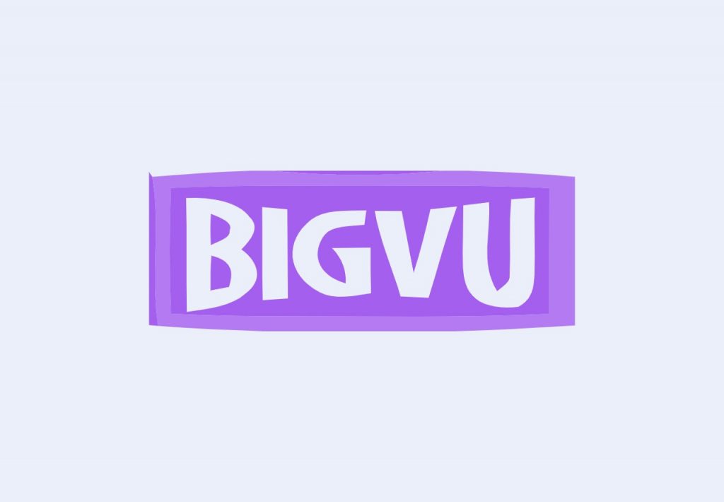 Bigvu Lifetime Deal: Personal Pocket TV Studio